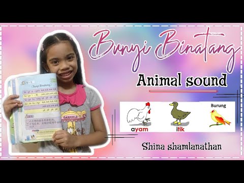 BUNYI BINATANG |Animal sounds|Bahasa melayu| by Shina - YouTube
