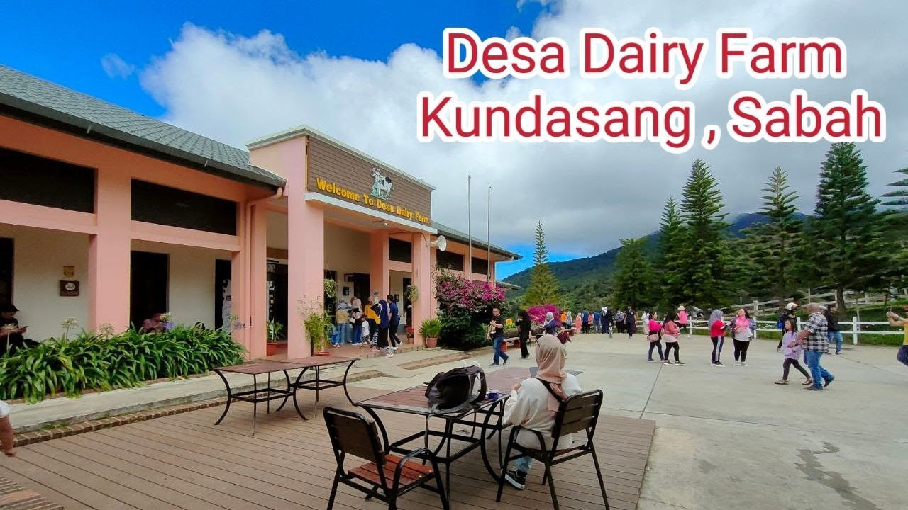 Desa Dairy Farm Kundasang Sabah.Playfully known as the Little New ...