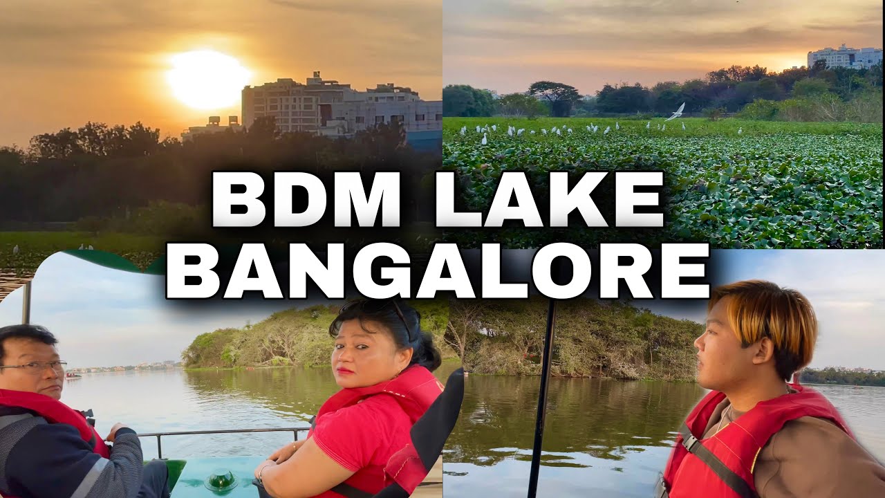 Exploring Btm Lake In Bangalore | Madiwala Lake Bangalore🪷 - YouTube