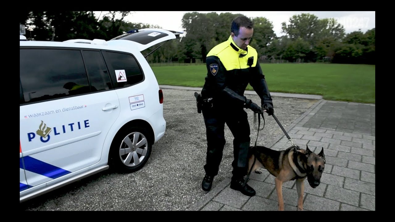 Altijd solo nooit alleen - Politie Hondenbrigade Rotterdam - YouTube