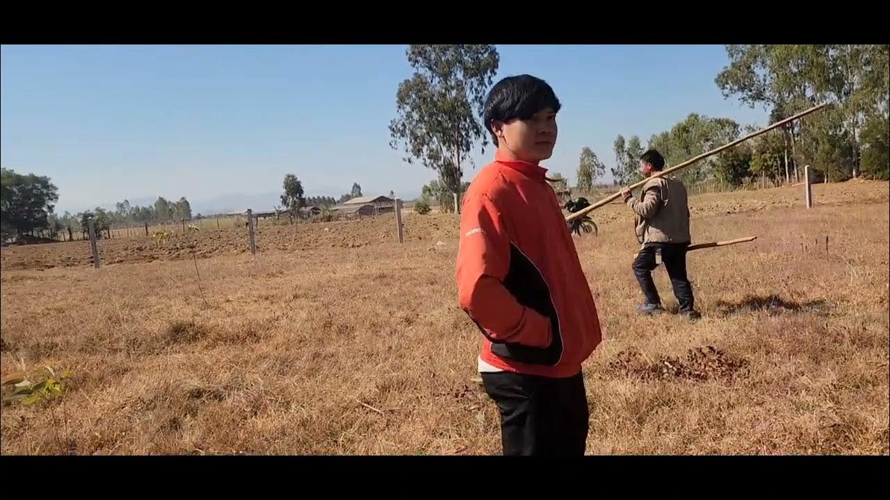 hnub no peb cov niam tub mu khawb qhov quav - YouTube