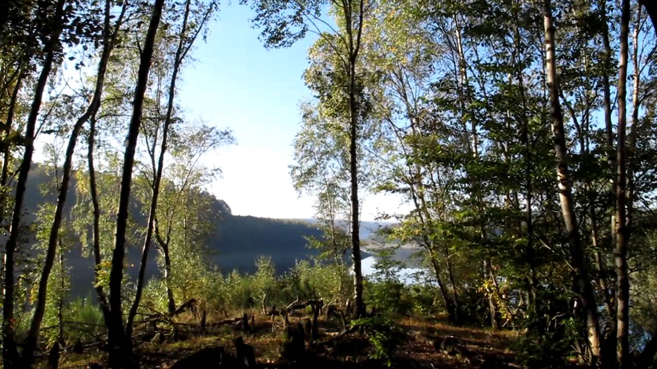Wehebach Stausee Nordufer Teil 2 | Wehebach Reservoir North Shore Part ...