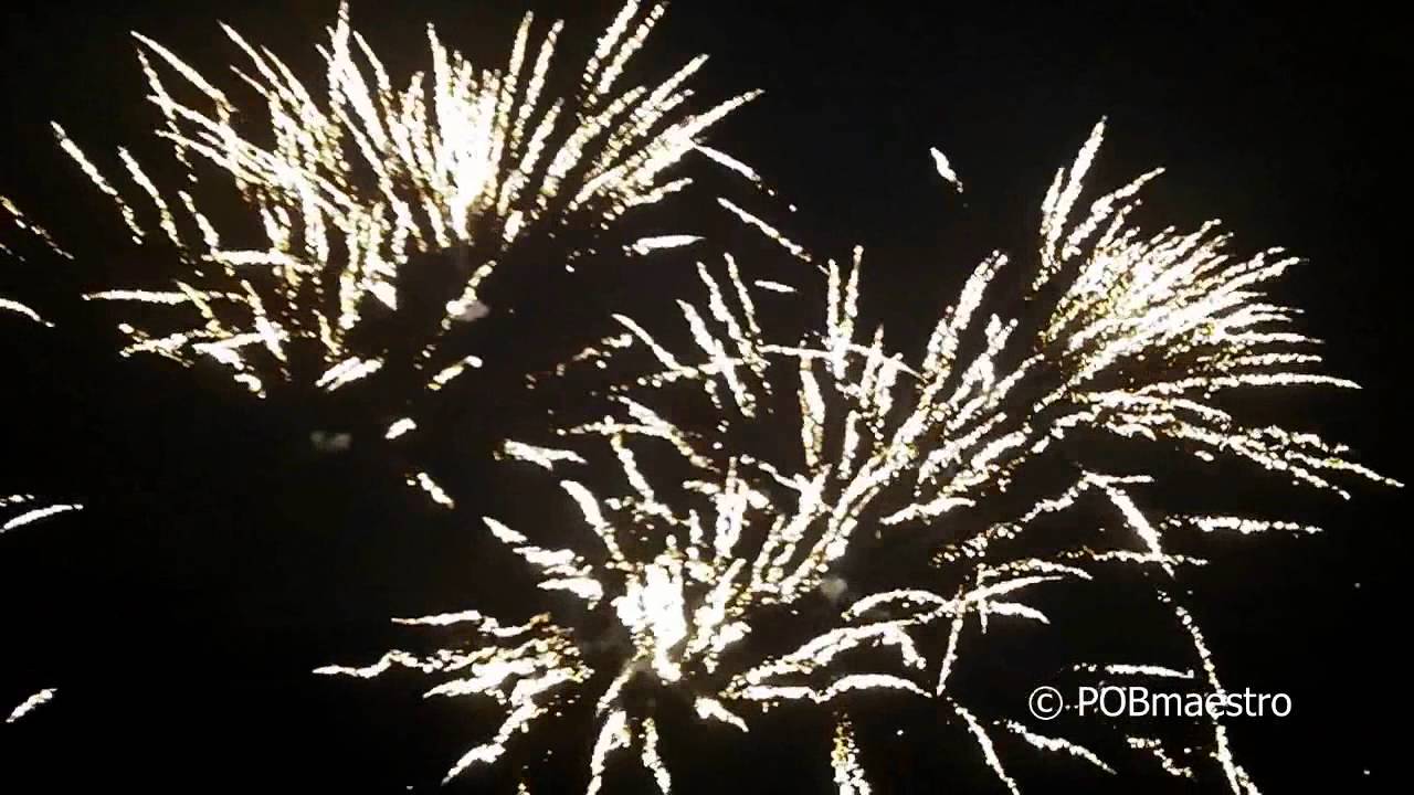 Pyrostar Brocade Pine Firework (25 Shot Cake) - YouTube