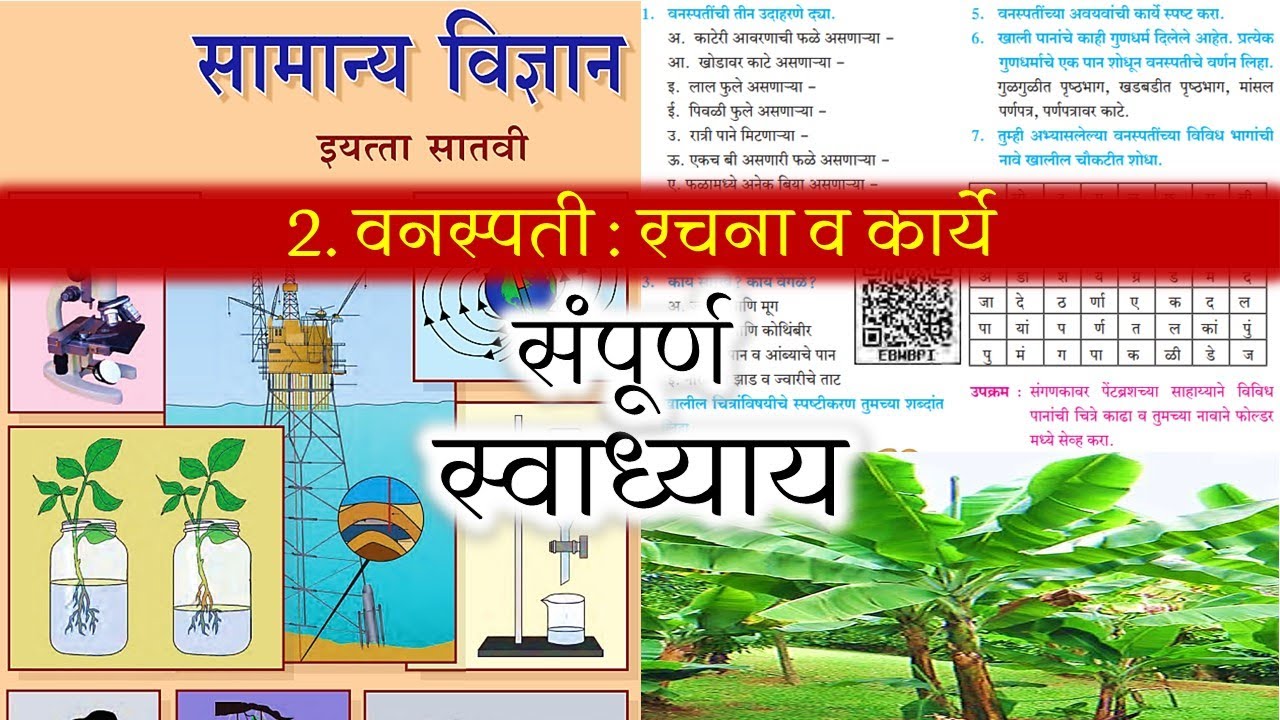 वनस्पती रचना व कार्य स्वाध्याय | vanaspati rachna v karya swadhyay ...