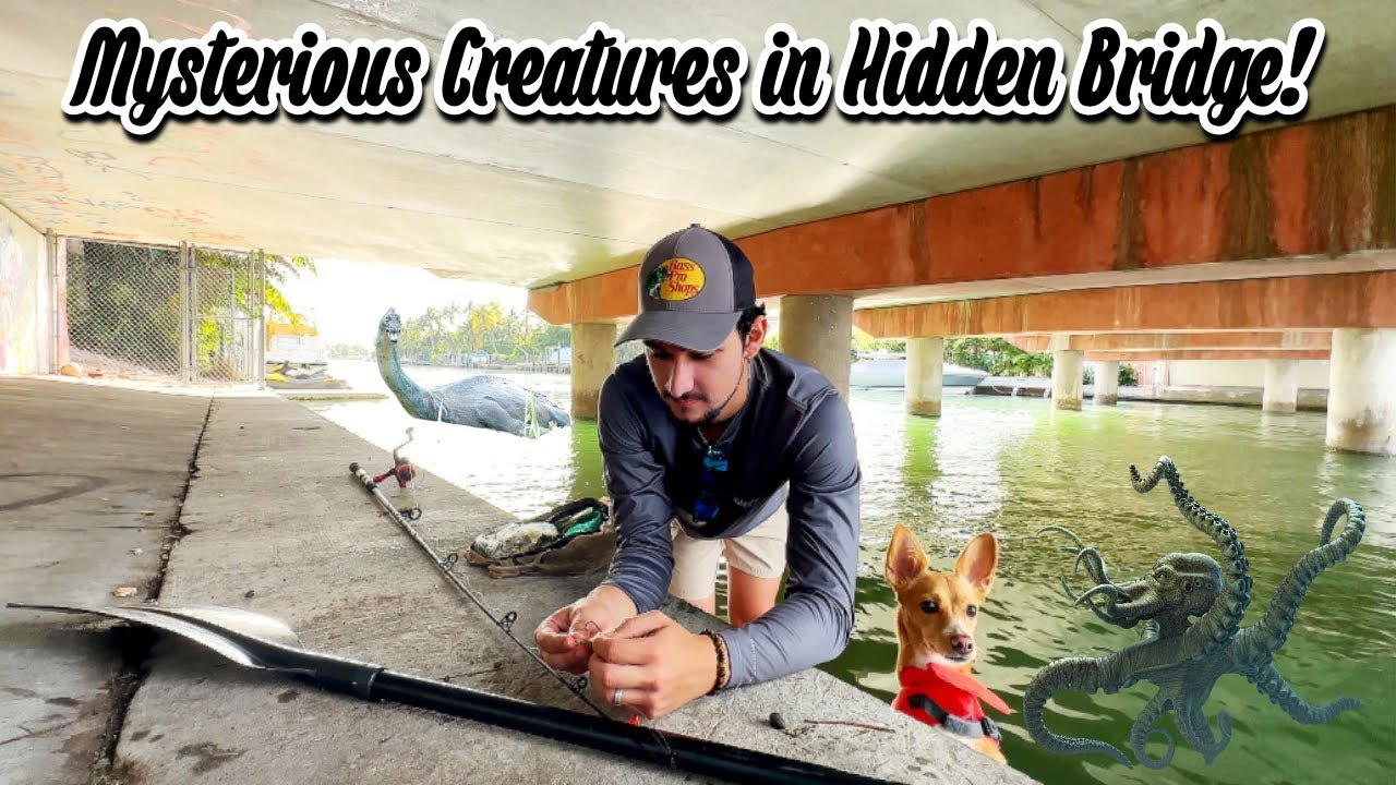 Finding MYSTERIOUS creatures underneath a HIDDEN bridge!?!?! - YouTube