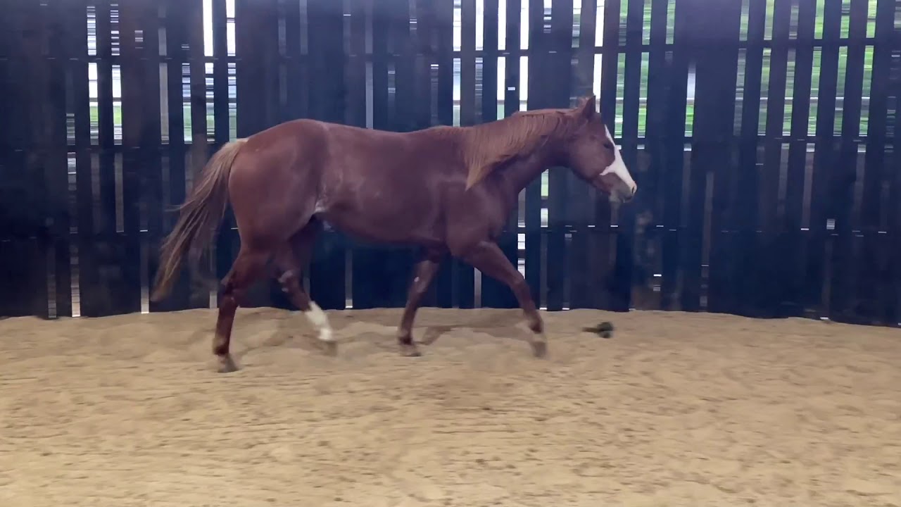 2018 stud by Smooth Talkin Style - YouTube