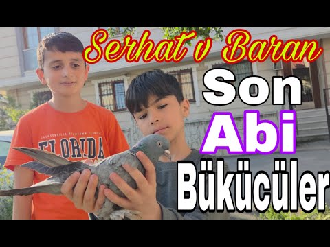 Serhat v Baran, Son Abi Bükücü Kuşçular. Darıca