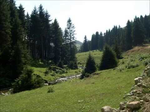 Horon,Kemençe, karadeniz, rumca şarkılar,karadeniz müziği, pontus müziği, ποντοσ, rumca türküler