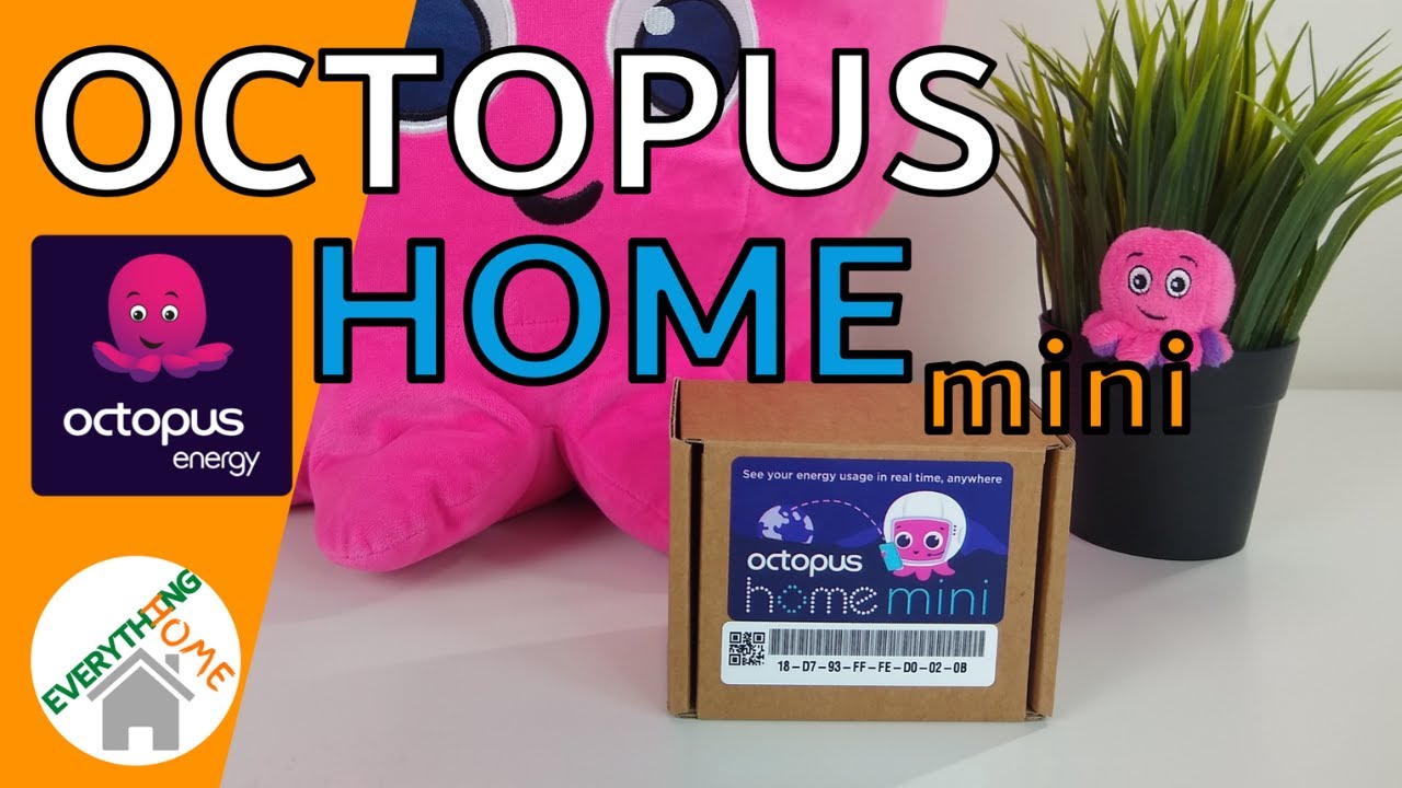 NEW Octopus Home Mini: Your Usage In Real Time, Anywhere - YouTube