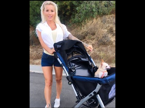 jessica cakes going on trip with her dog