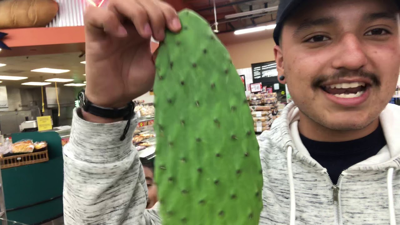 El nopal en la frente - YouTube