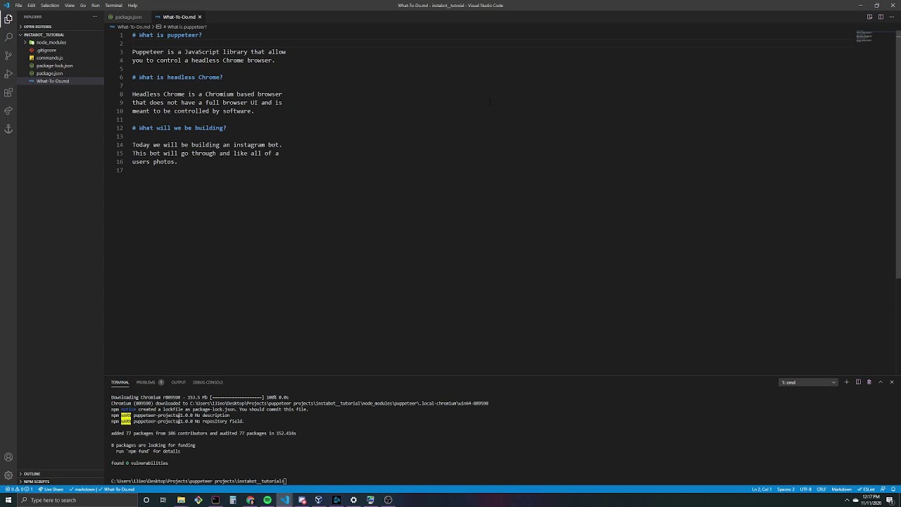 How to build an Instagram Bot with JavaScript - Introduction - YouTube