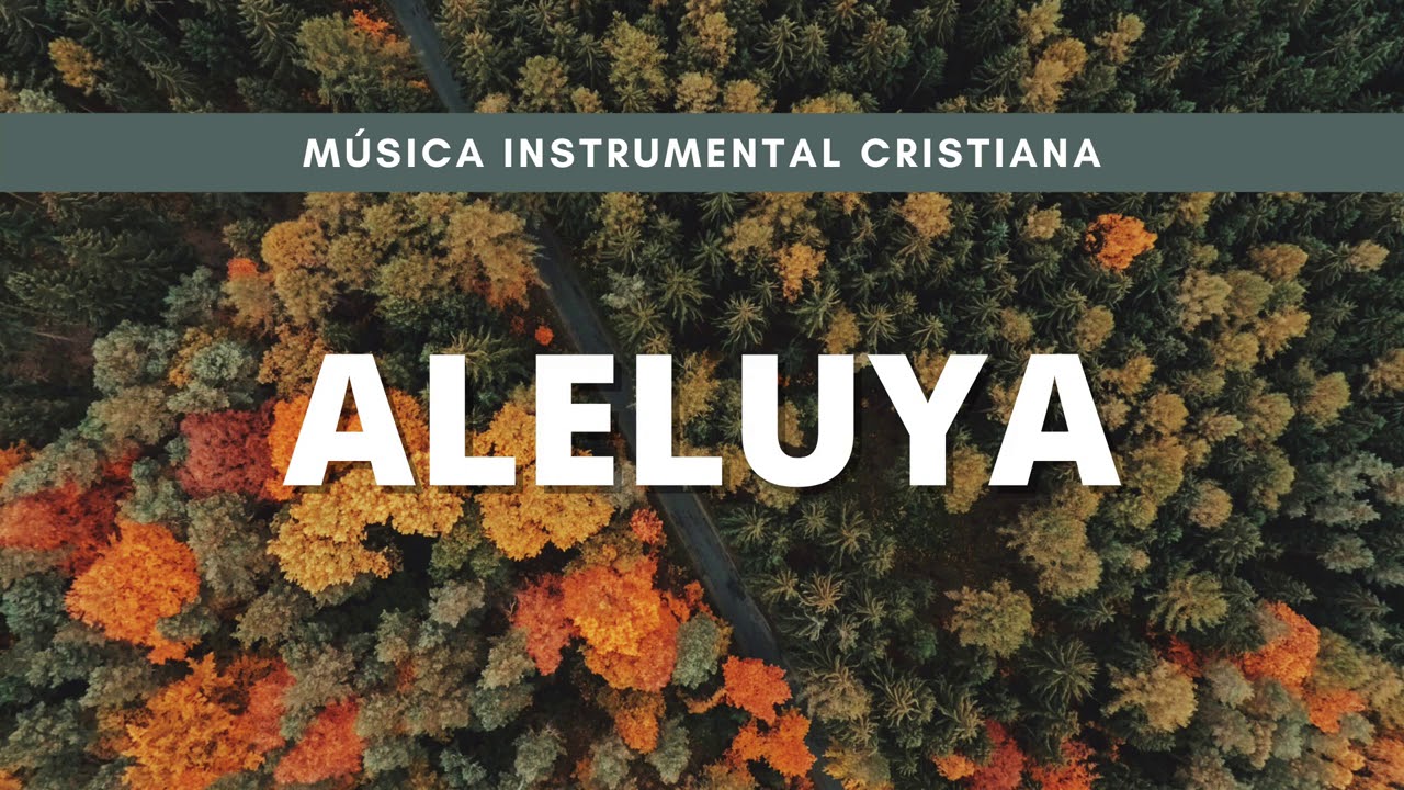 MÚSICA INSTRUMENTAL CRISTIANA / ALELUYA - YouTube