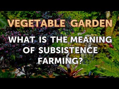 What Does Subsistence Lifestyle Mean