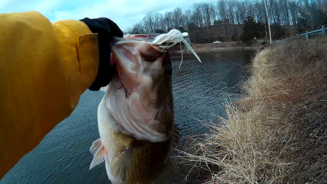 Connecticut Trophy 8.26lb. Bass Sports Fans - YouTube
