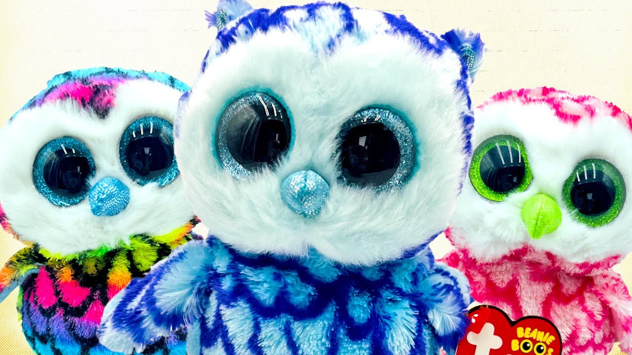 Beanie Boo Owl Collection They Are All So Cute! Vol 1 - YouTube