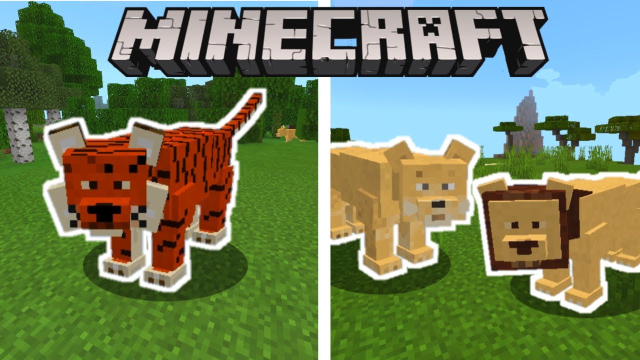 BIG CATS! (Addon) | Minecraft - YouTube