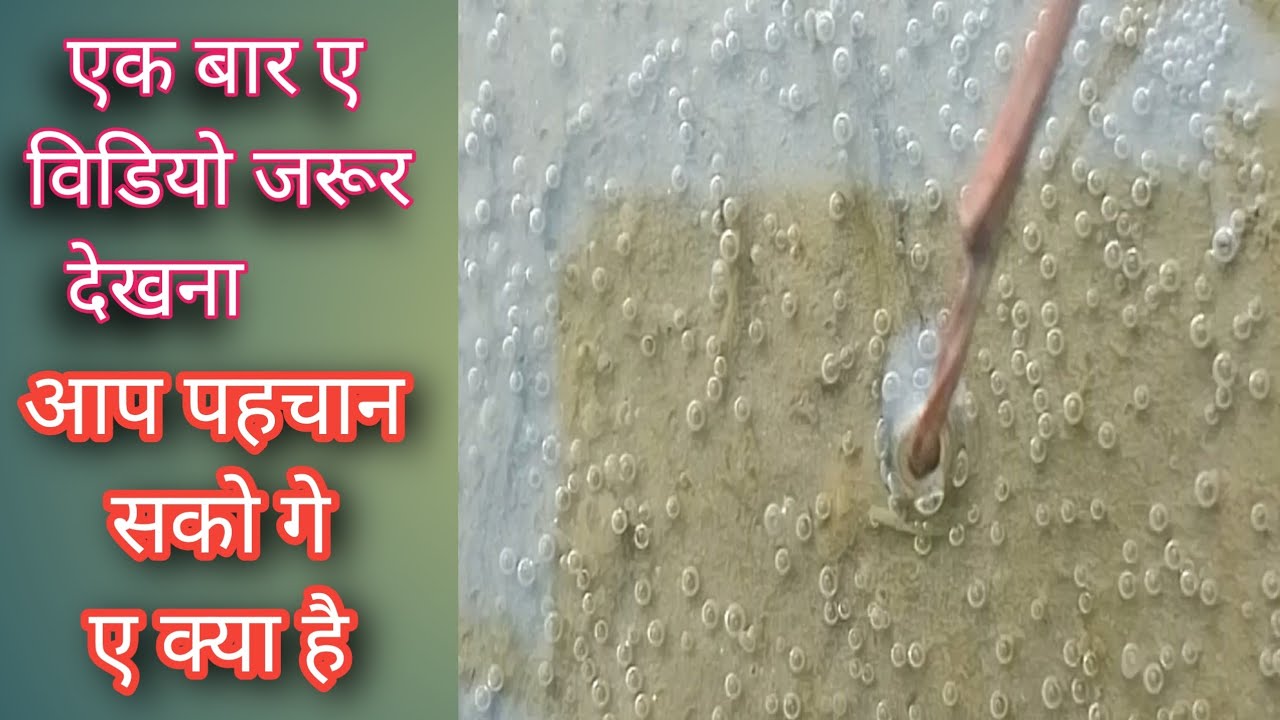 my first video,pani me bubbles,how to make bubbles,pani me tarte ...