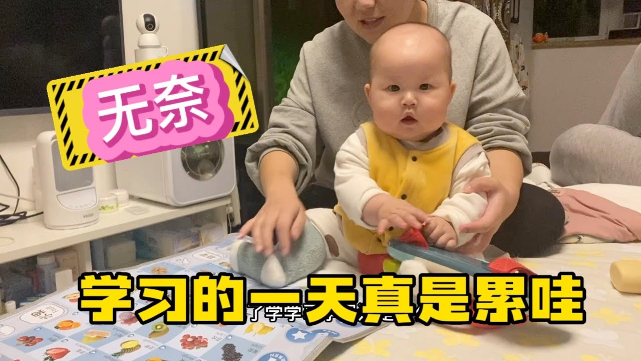 8个月的宝宝就被安排学习,妈妈教的学习方法简直太好用了,厉害 Youtube