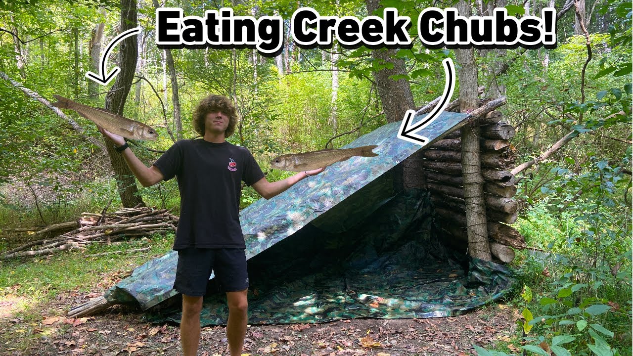 Camp, Catch & Cook! Trash Fish Edition (Creek Chub) - YouTube