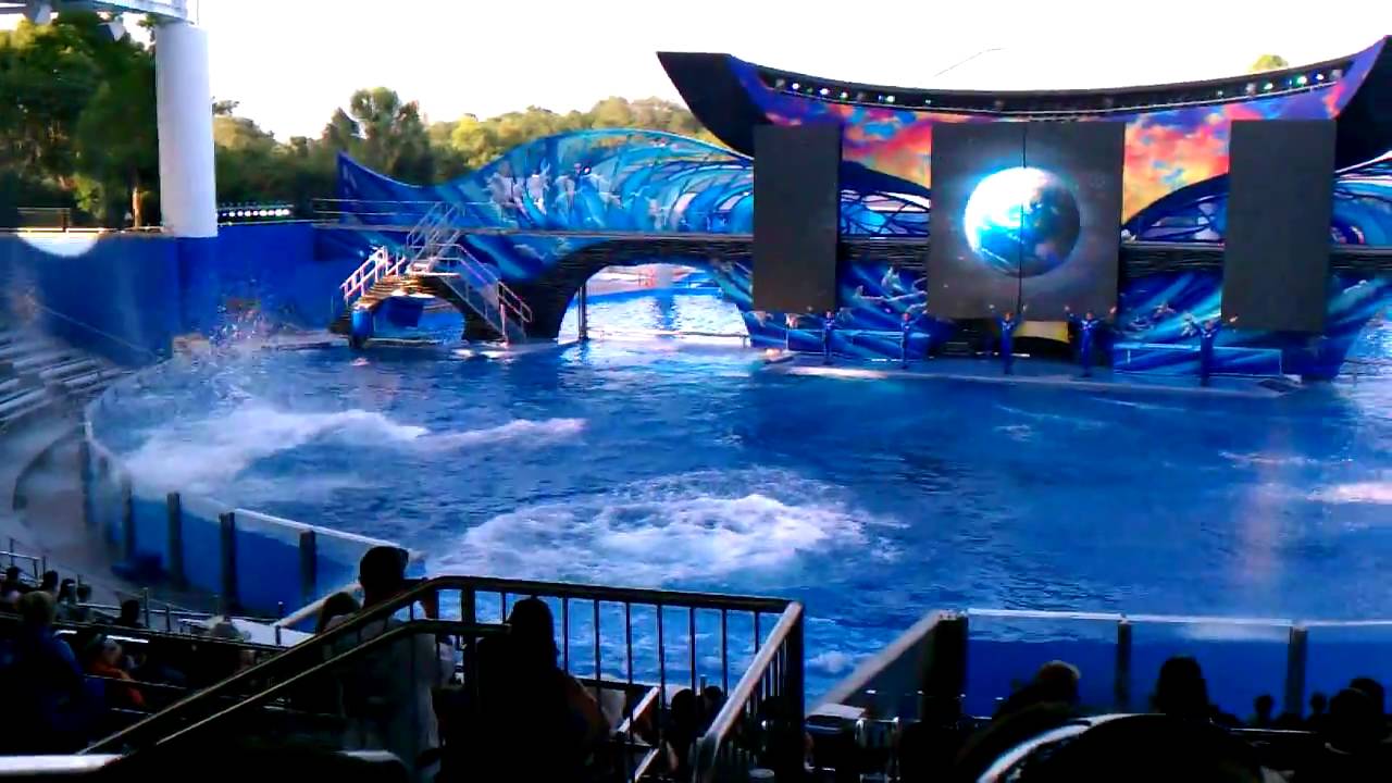 SeaWorld whale jump at end of show - YouTube