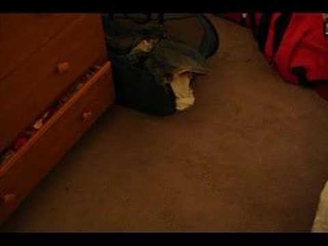 Living Clothes - YouTube