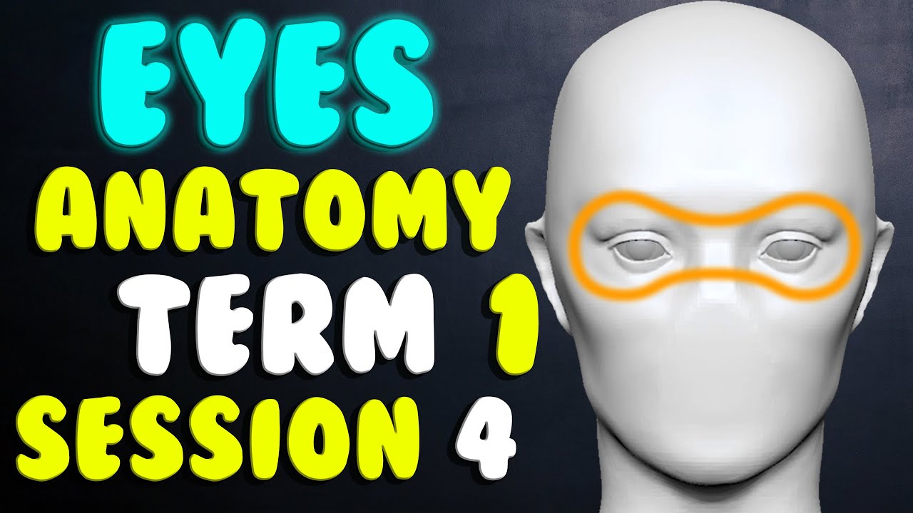 Game Character 👁️ Eyes Anatomy 👀 Term 1 Session 4 - YouTube