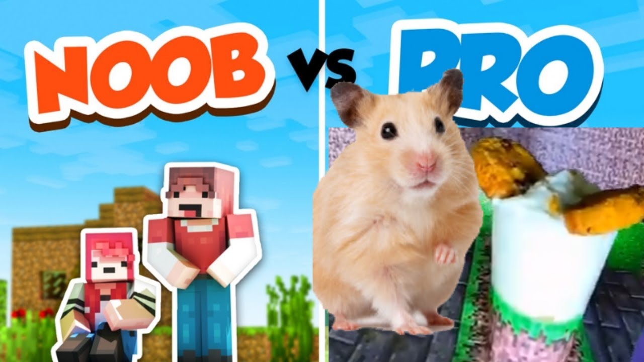 Hamster minecraft maze Cute Hamster Explores minecraft world Cute ...