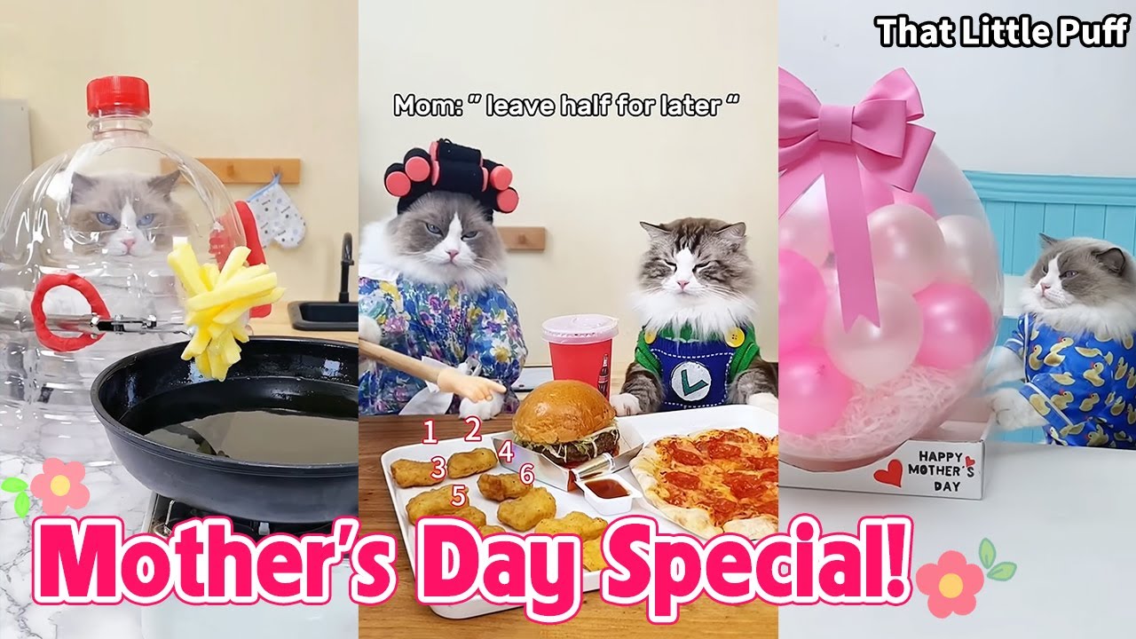 Meow Chef: Mother's Day Special!🥰 | That Little Puff - YouTube