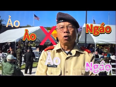 Hoang tưởng , mơ giửa ban ngày , thương hại 