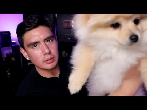 Jay Being my Favorite Youtuber for 2 Minutes - YouTube