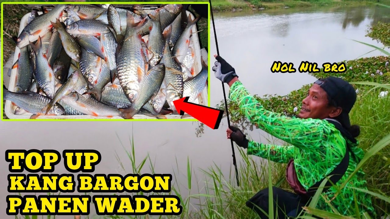 HEBAT...!! PEMANCING SATU INI PANEN WADER 4KG DI SUNGAI ZEN - YouTube