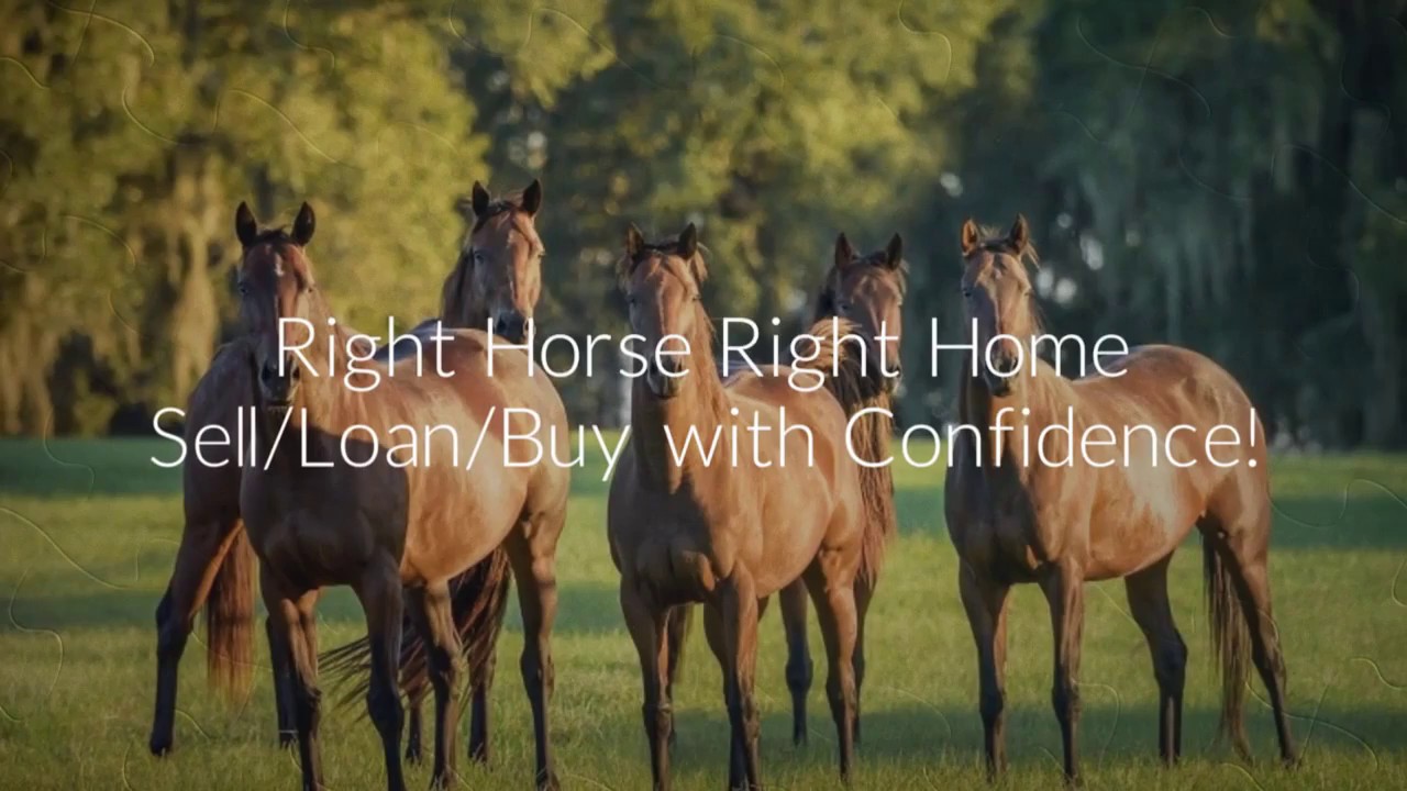 RHRH How We Work Video - YouTube