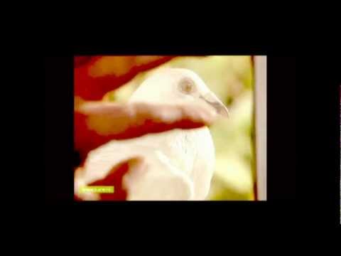 Farkli Boyut - Klip