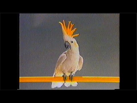 NBS ad TV 1 - YouTube