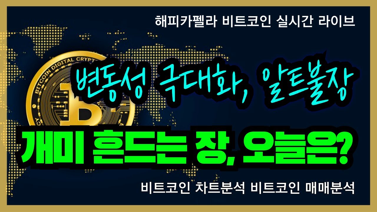 비트코인 실시간 개미흔드는 장 오늘은 변동성 극대화 알트 불장 1125 아침💎비트코인 비트코인실시간 이더리움 리플 Cryptocurrency 차트분석