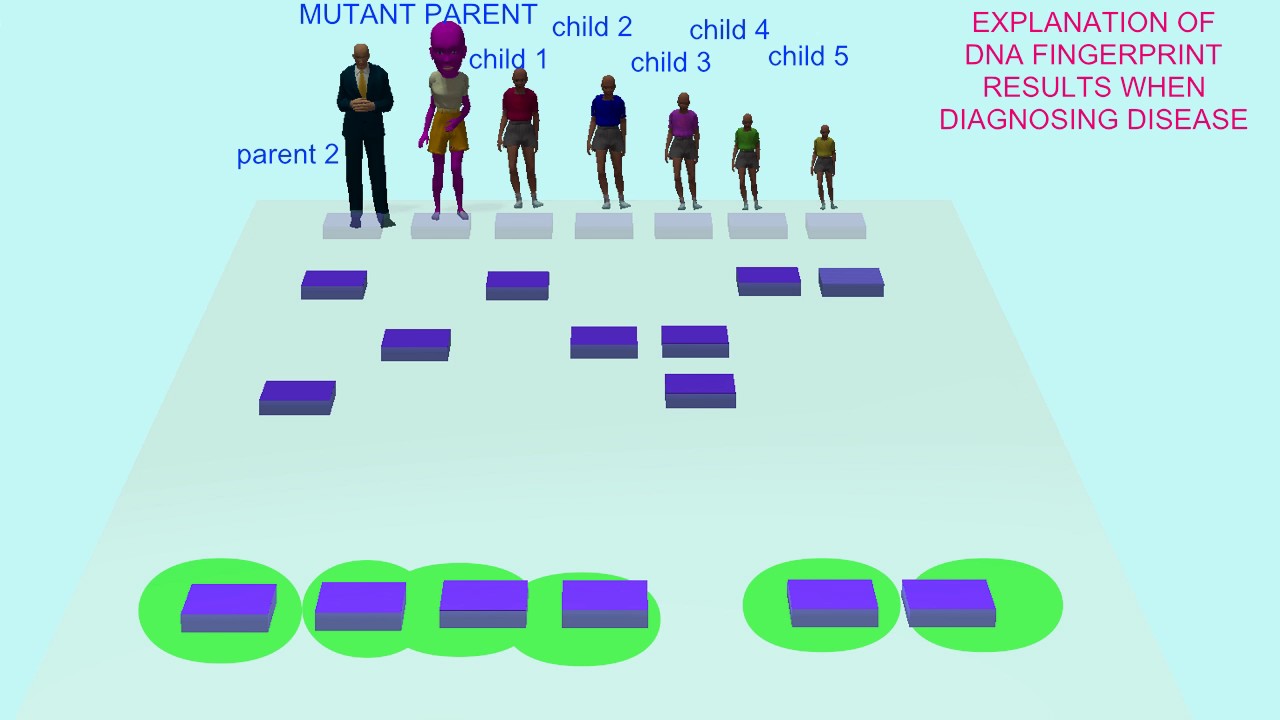 EXPLANATION OF DNA FINGERPRINTING RESULTS FOR DIAGNOSING DISEASE - YouTube