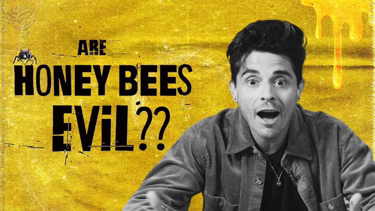 The REAL way to SAVE THE BEES | Know Brainers - YouTube