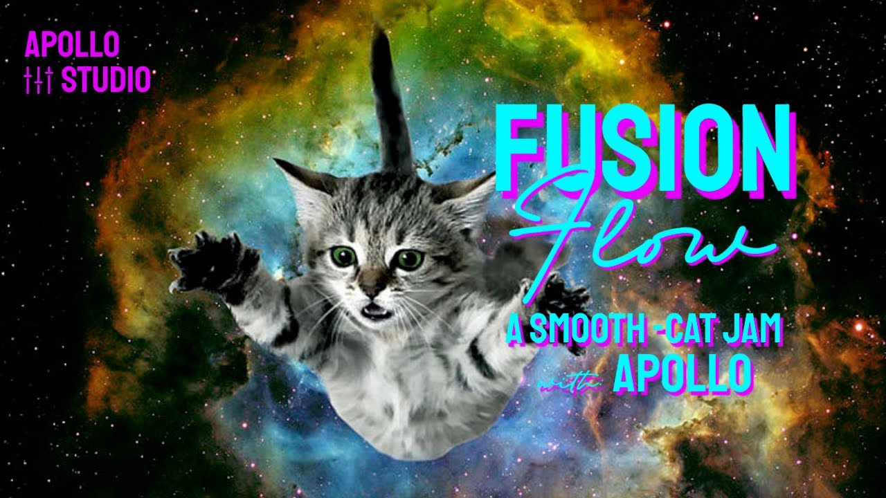 The domestic cat is a member of the Felidae - YouTube