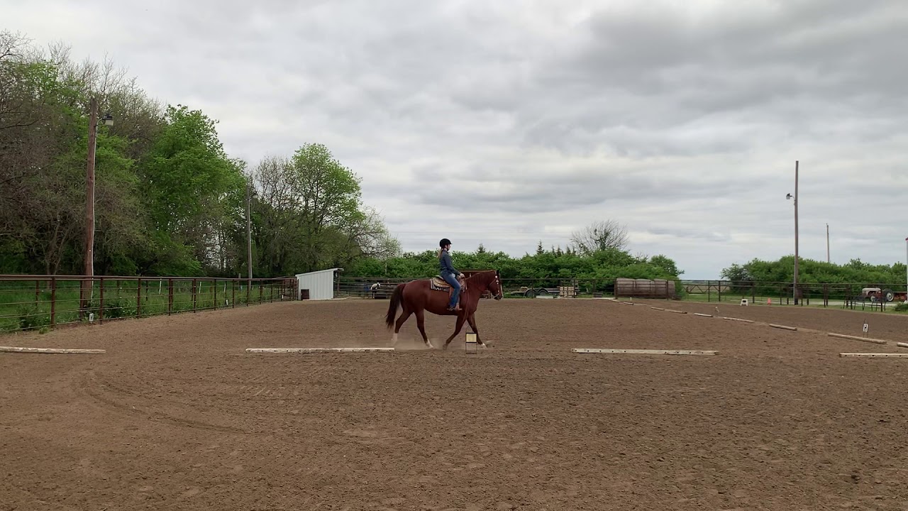 WDAA Basic Level 3 - YouTube