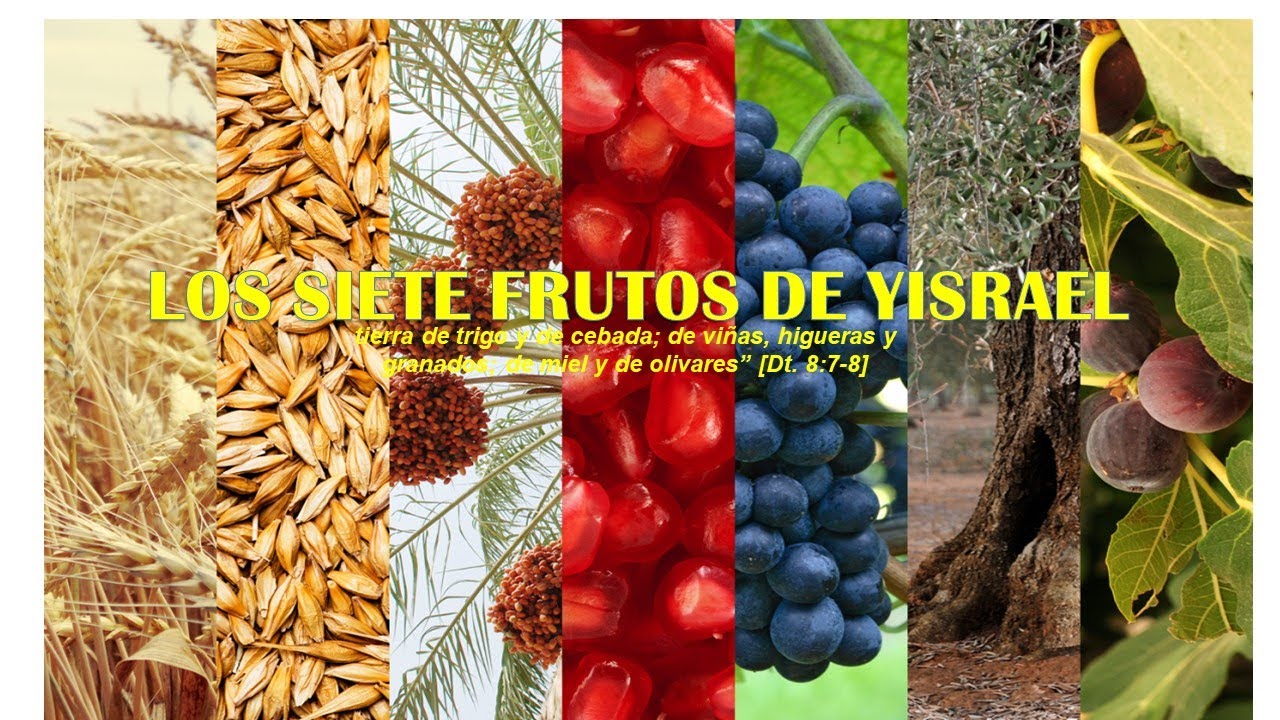 LOS 7 FRUTOS DE ISRAEL 11/05/21 OMER 45 BENDICION MATUTINA - YouTube