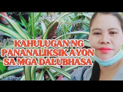 KAHULUGAN NG PANANALIKSIK AYON SA MGA DALUBHASA - YouTube