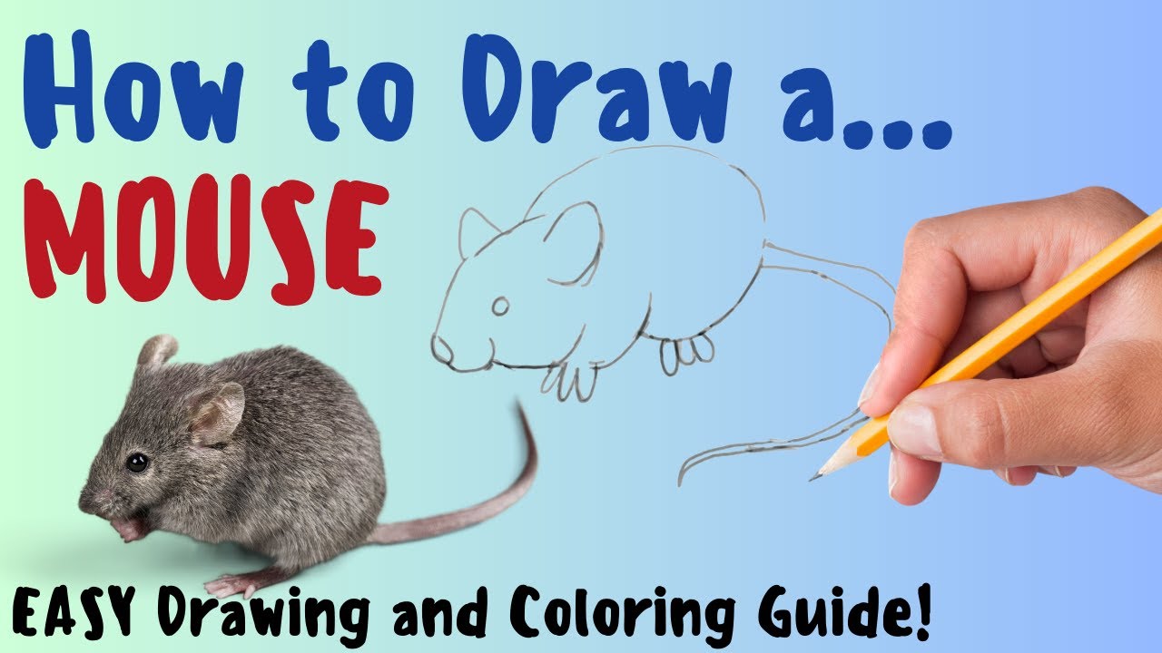 How To Draw A Mouse - Easy Step By Step Drawing and Coloring Guide ...