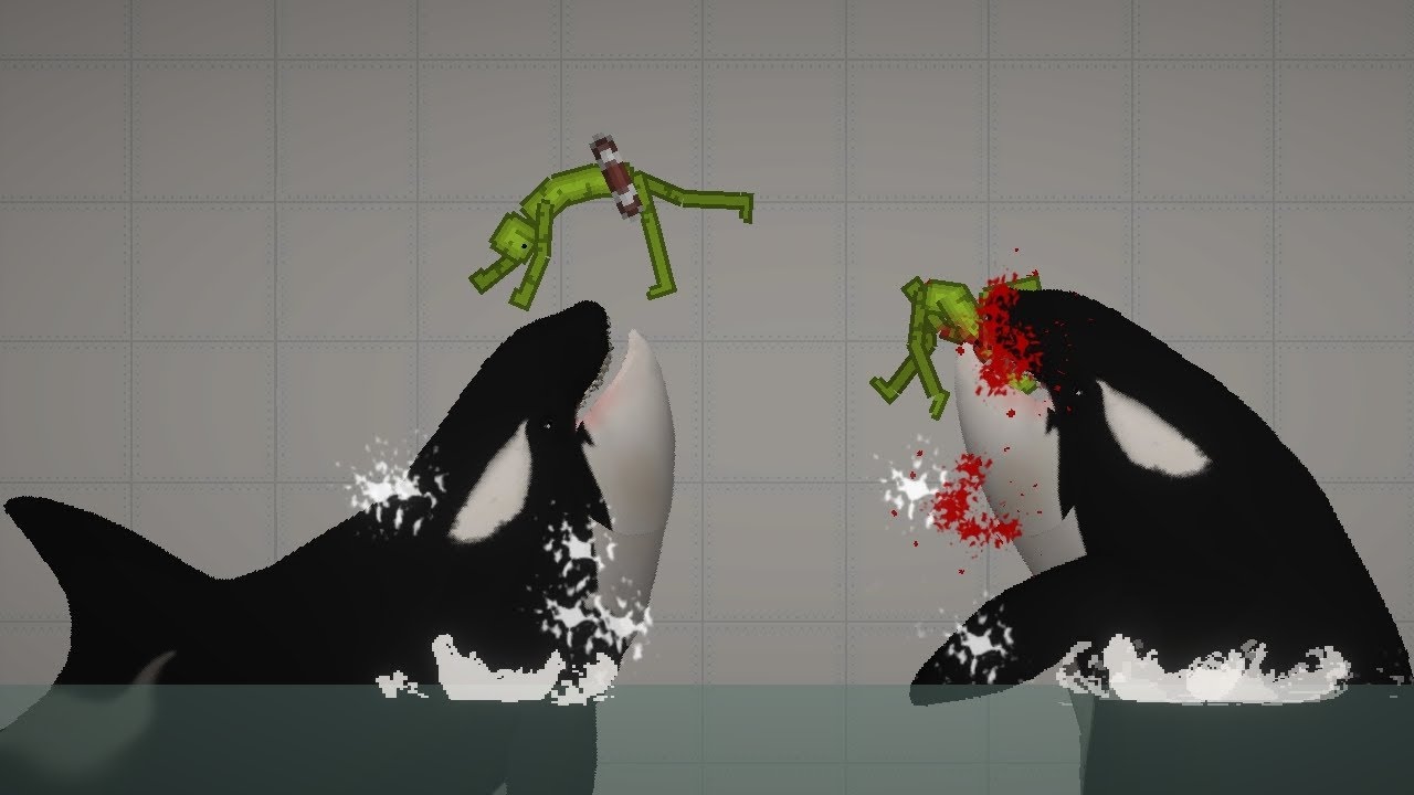 Orca killer whale mod for melon sandbox - YouTube