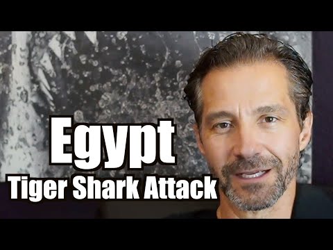 SharkCast S1 E7: Reacting to the Egypt Tiger Shark Attack