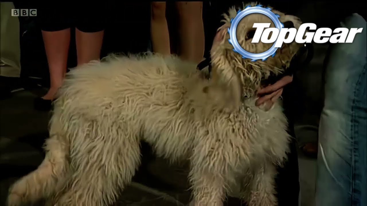 TOP GEAR DOG Top Gear | 4K 60fps AI Upscale #topgear #thegrandtour ...