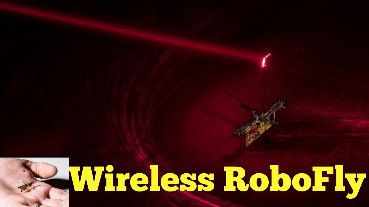 Tiny Wireless Flying Robotic Insect "RoboFly" gets power from Laser ...