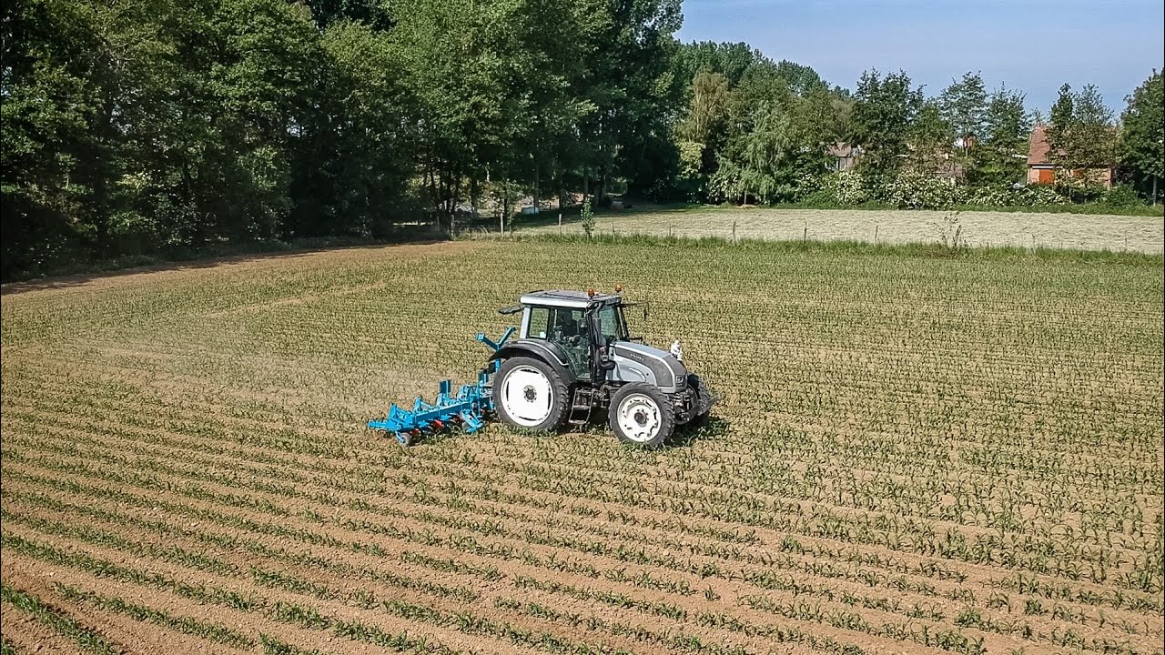 Valtra N141 - Bineuse Monosem SuperCrop 8 rang - YouTube