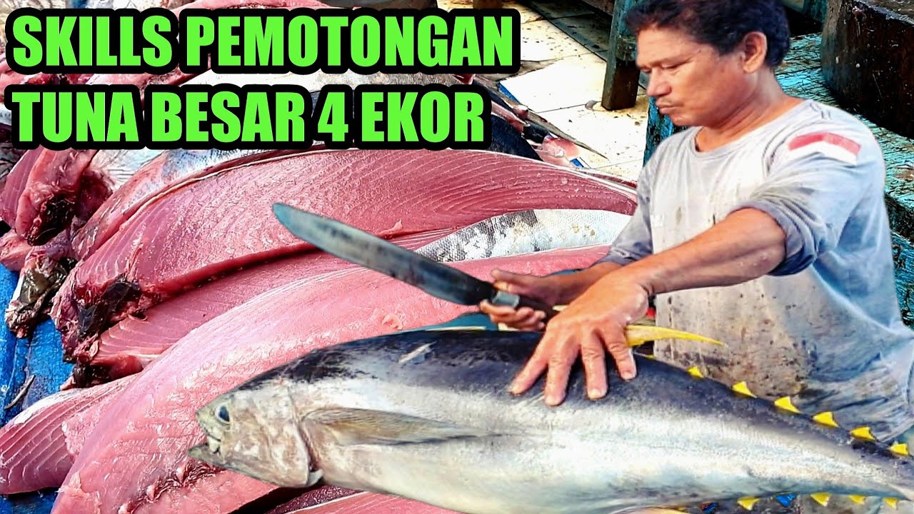 Skill Potong Ikan Pemotongan Tercepat Ikan Tuna Besar Empat Ekor Di