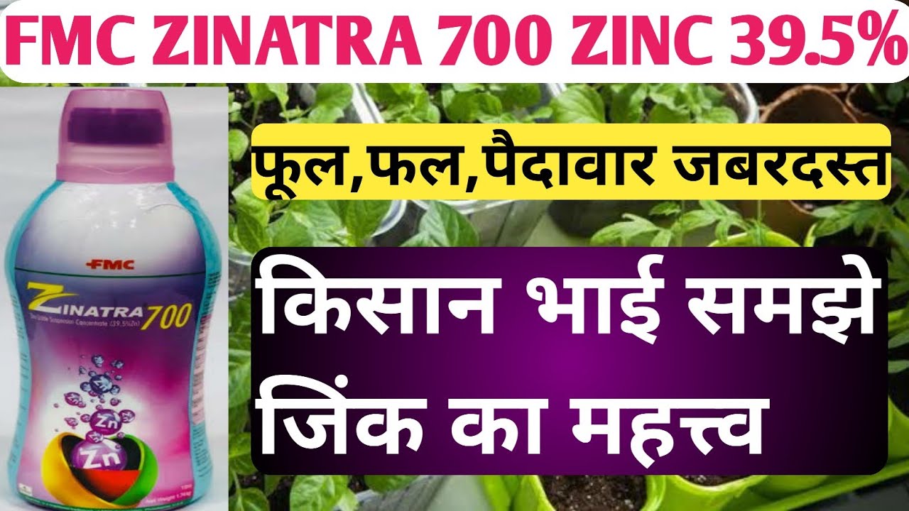 फसलों में जिंक का महत्व । ZINATRA । FMC ZINATRA 700 । Zinc 39.5% ...